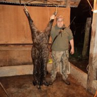 Boar hunting in Brazil | Lone Star Boars